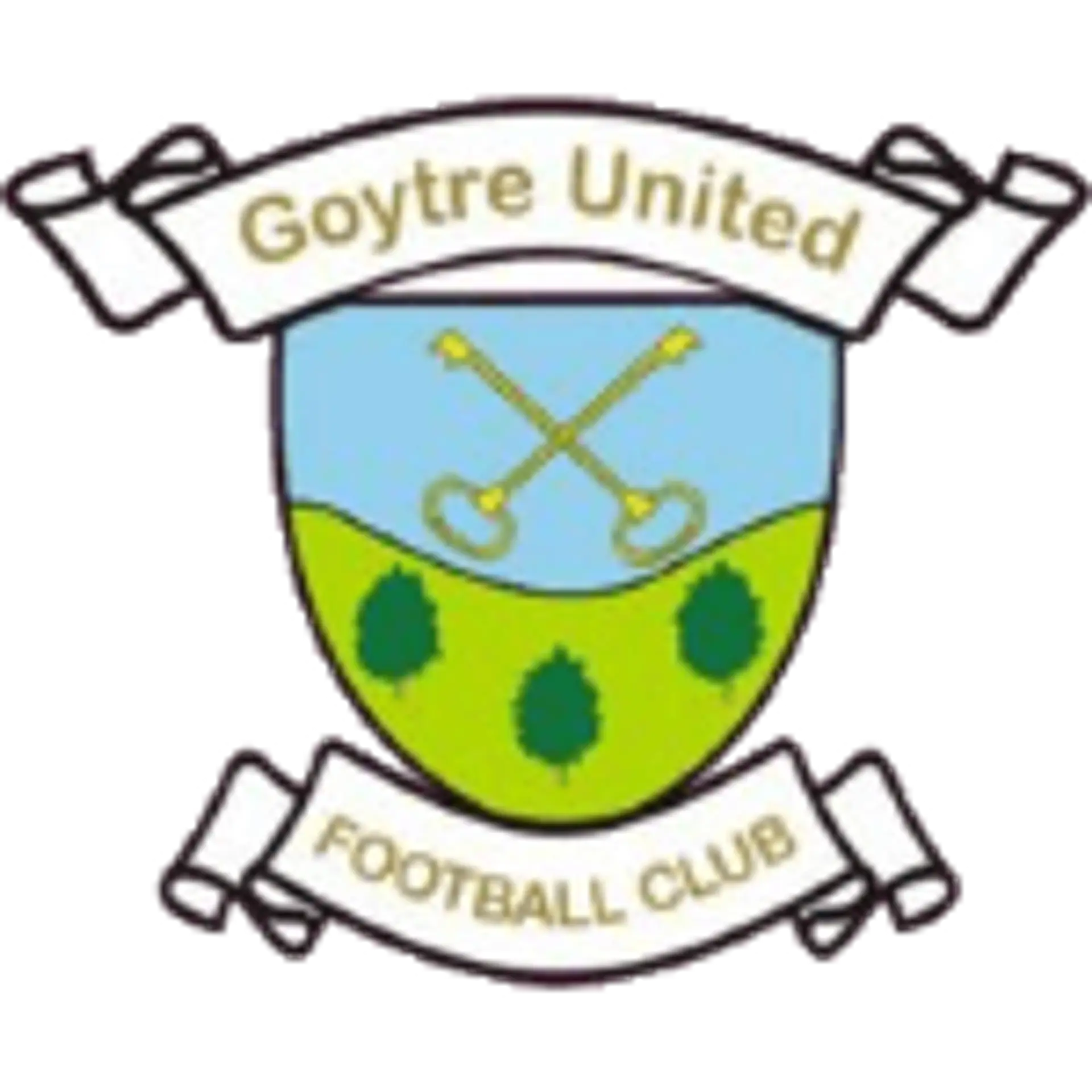 ‎Goytre United FC ضد Aberbargoed Buds: النتائج المباشرة ، البث المباشر ...